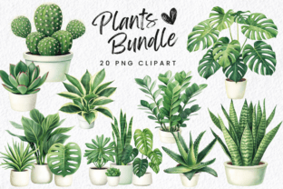20 House Plant Clipart Bundle Graphic by AN Graphics · Creative Fabrica