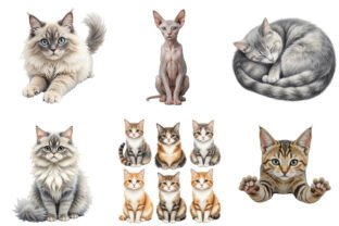 Beautiful Watercolor Cats Clipart Bundle Graphic by Pixels.Craft ...