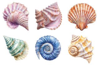 Ocean Sea Shell Sublimation Clipart Graphic by cherrydesign · Creative ...