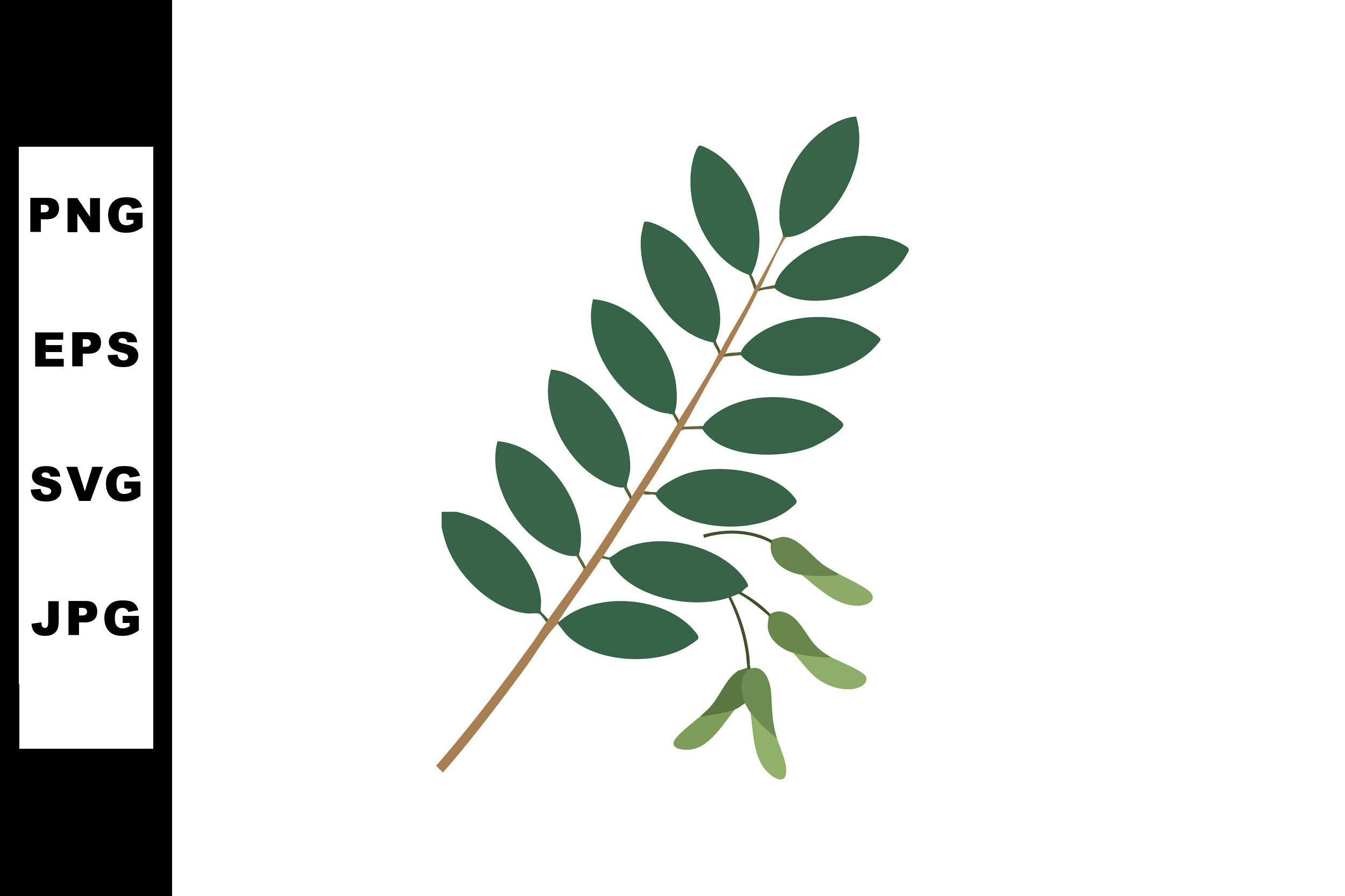 Green Branch with Leaves and Seed Pods V Graphic by SVGdesigns ...