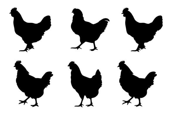 40 Free Chicken Svg Designs & Graphics
