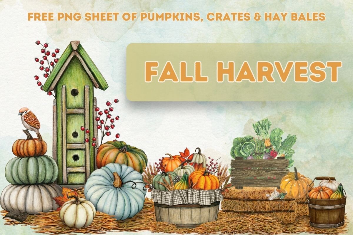 Fall Harvest Clipart – Free PNG Sheet Graphic by Azhir · Creative Fabrica