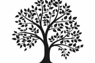 Landscape Tree Vector Pack Graphic by Creativelab19 · Creative Fabrica
