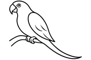 Outline Drawing of Parrot on Branch Graphic by CREATIVESTORE · Creative ...