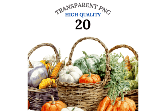 Autumn Vegetable Clipart Graphic by patipaintsco · Creative Fabrica