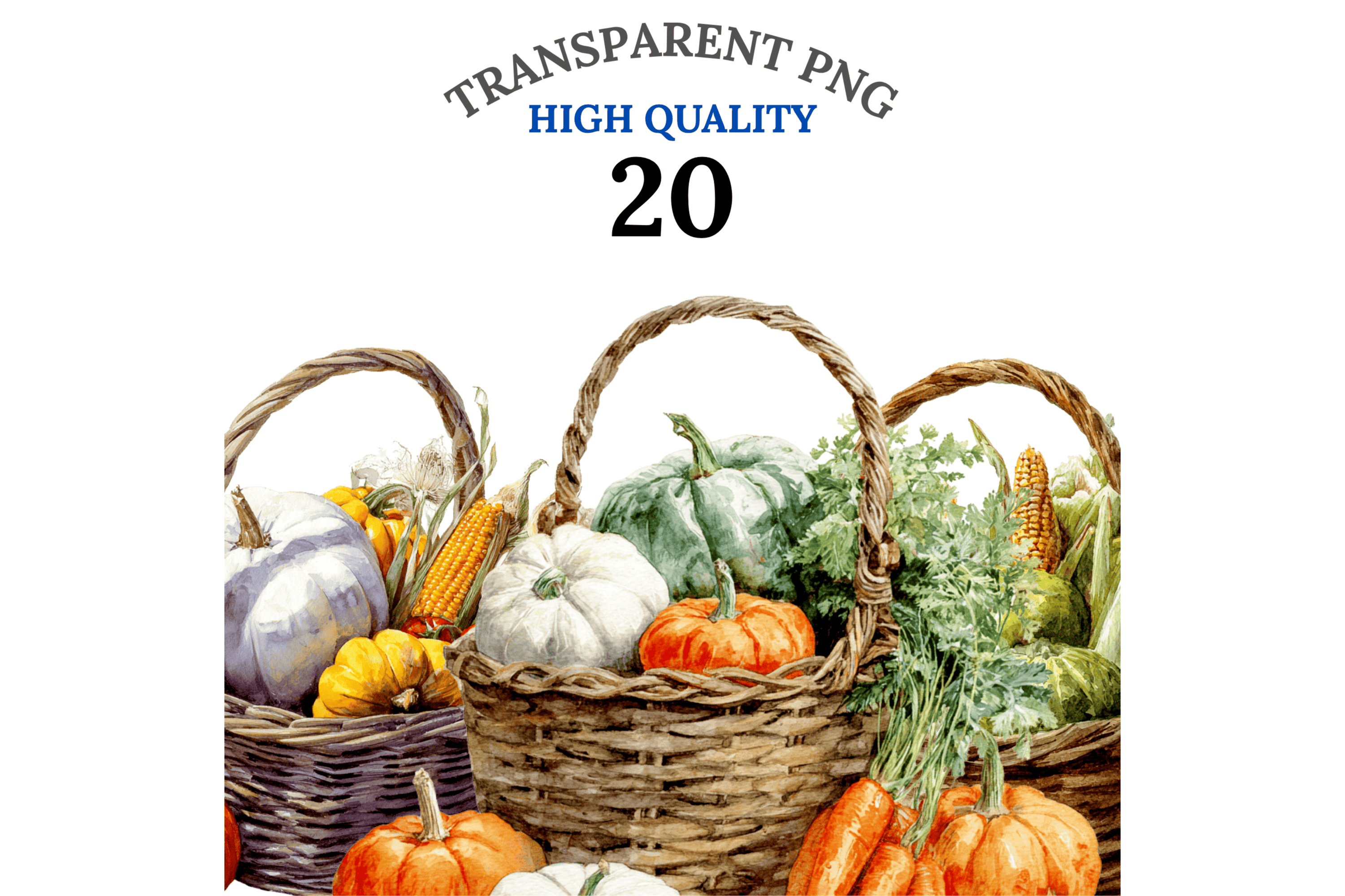 Autumn Vegetable Clipart Graphic by patipaintsco · Creative Fabrica