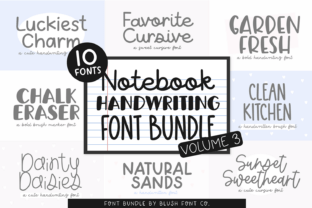 Mega Notebook Handwriting Bundle Font by blushfontco · Creative Fabrica