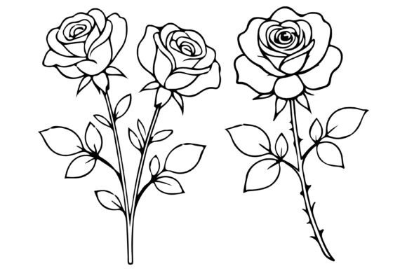 Line Art Illustration of Camellia Flowe Graphic by MP Design Studio ...