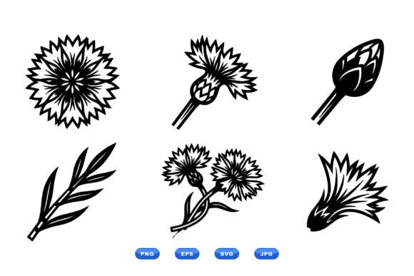 1 Wild Cornflower Designs & Graphics