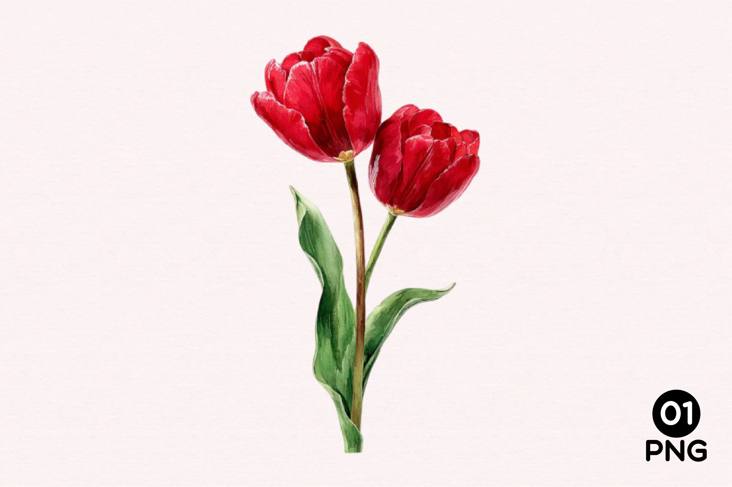Whimsical Spring Tulip Flower Clipart Graphic by Sublimation Design ...