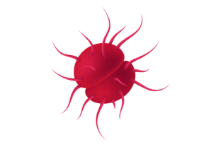 Red Bacteria Cell. Medical Microbiology, Graphic by yummybuum ...