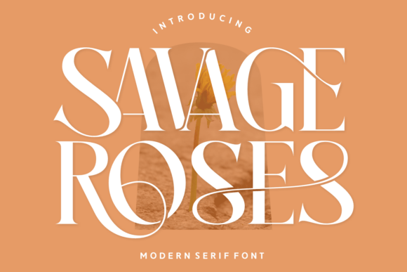 Serif Fonts [2026] | 2,309+ Popular Serif Fonts - Creative Fabrica