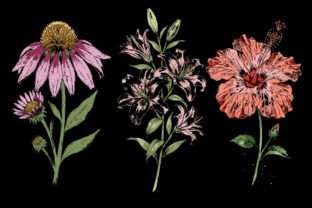 Hand Drawn Distressed Flowers Clipart Graphic by Dreamy Art · Creative ...