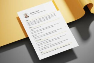 12 Clean Simple Resume CV - Canva Graphic by Storic · Creative Fabrica