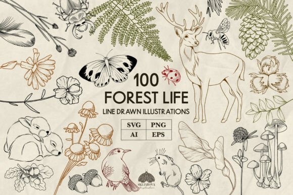 9460 Forest Svg Designs & Graphics