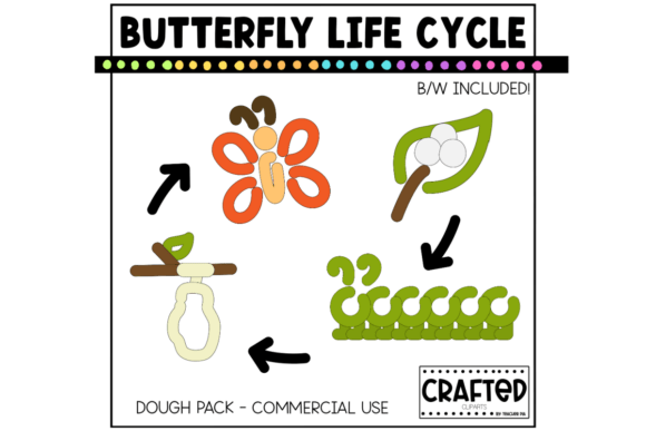 Simple Silkworm Life Cycle Playdough Pac Graphic by craftedwithbliss ...