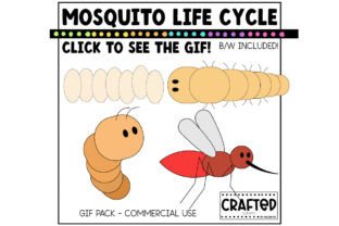 Simple Mosquito Life Cycle GIF Pack Graphic by craftedwithbliss ...
