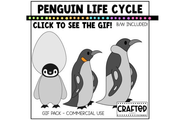 Simple Penguin Life Cycle GIF Pack Graphic by craftedwithbliss ...