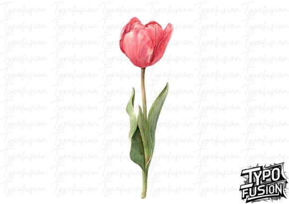 Watercolor Pink Tulip Clipart Graphic by typofusion · Creative Fabrica