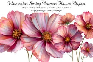 Watercolor Spring Cosmos Flower Clipart Graphic by GatewayDesign ...