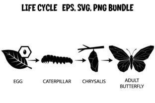 Animal Life Cycle Bundle Graphic by Rextore · Creative Fabrica