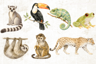 Tropical Watercolor Clipart Set PNG Graphic by Yassou Bouhad · Creative ...