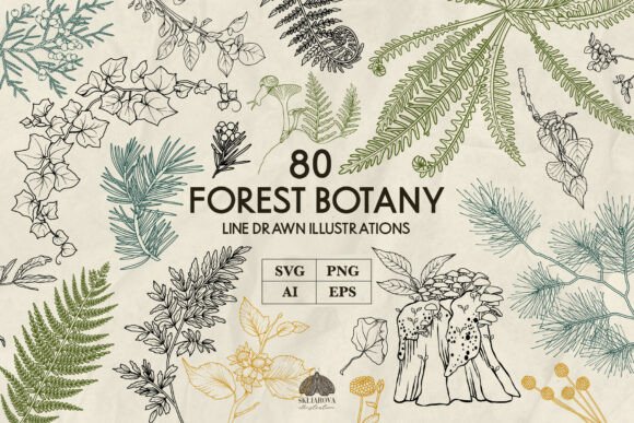 9460 Forest Svg Designs & Graphics