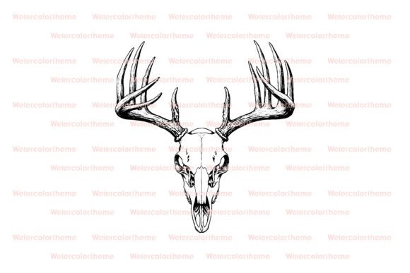 Buck Skull SVG, Deer Skull Line Art Graphic by watercolortheme ...
