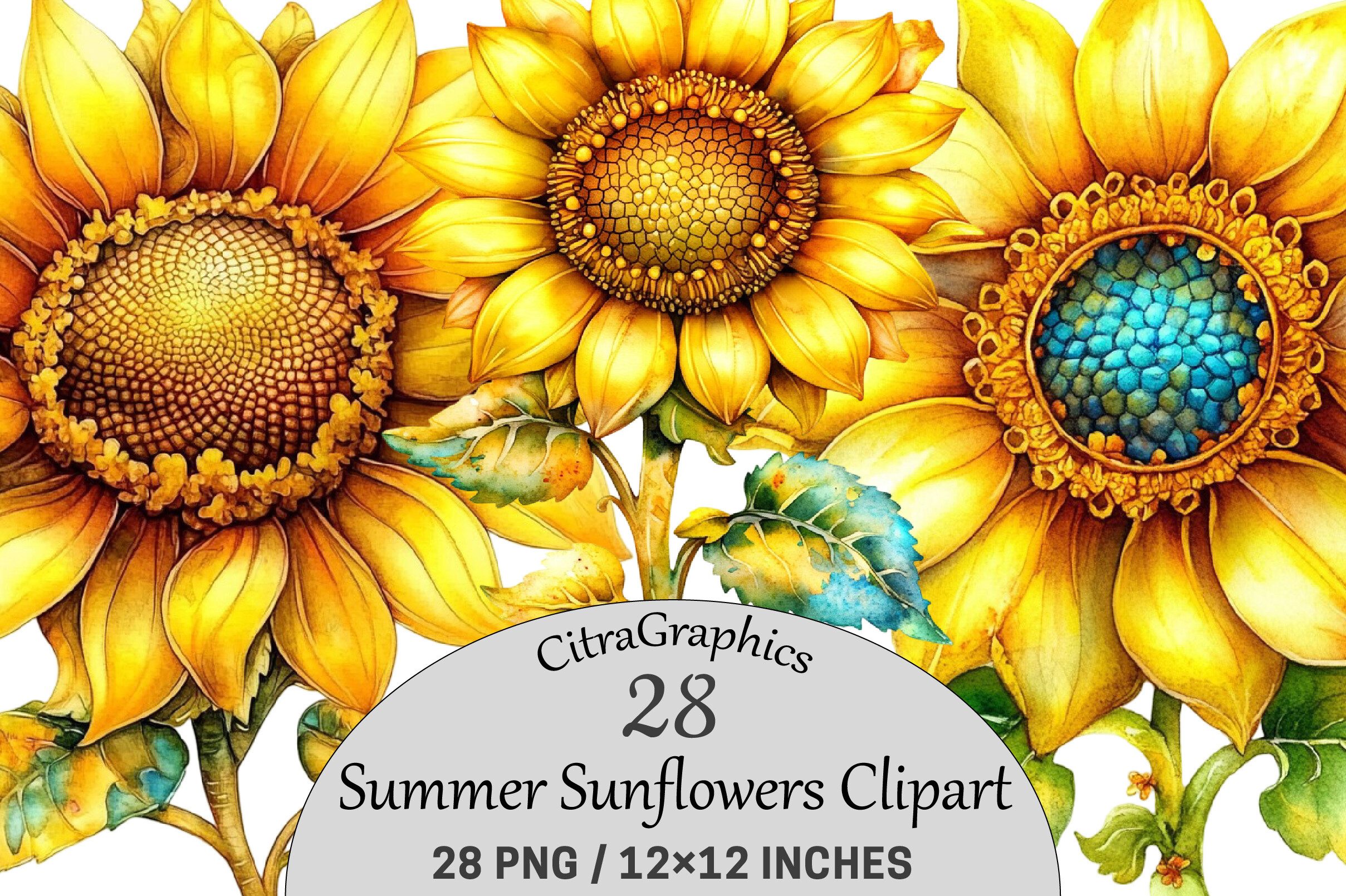 Summer Sunflowers Clipart. Graphic by CitraGraphics · Creative Fabrica