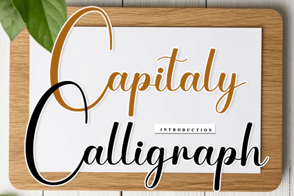 Creative Fonts - Download 244247+ fonts from Creativefabrica.com