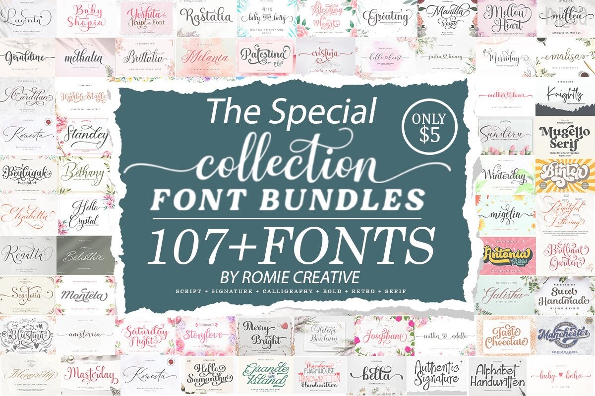 The Special Collection Font Bundles Bundle · Creative Fabrica
