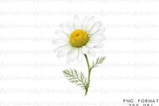 Watercolor Medicinal Herbs Bundle PNG Graphic by WatercolorByKr ...