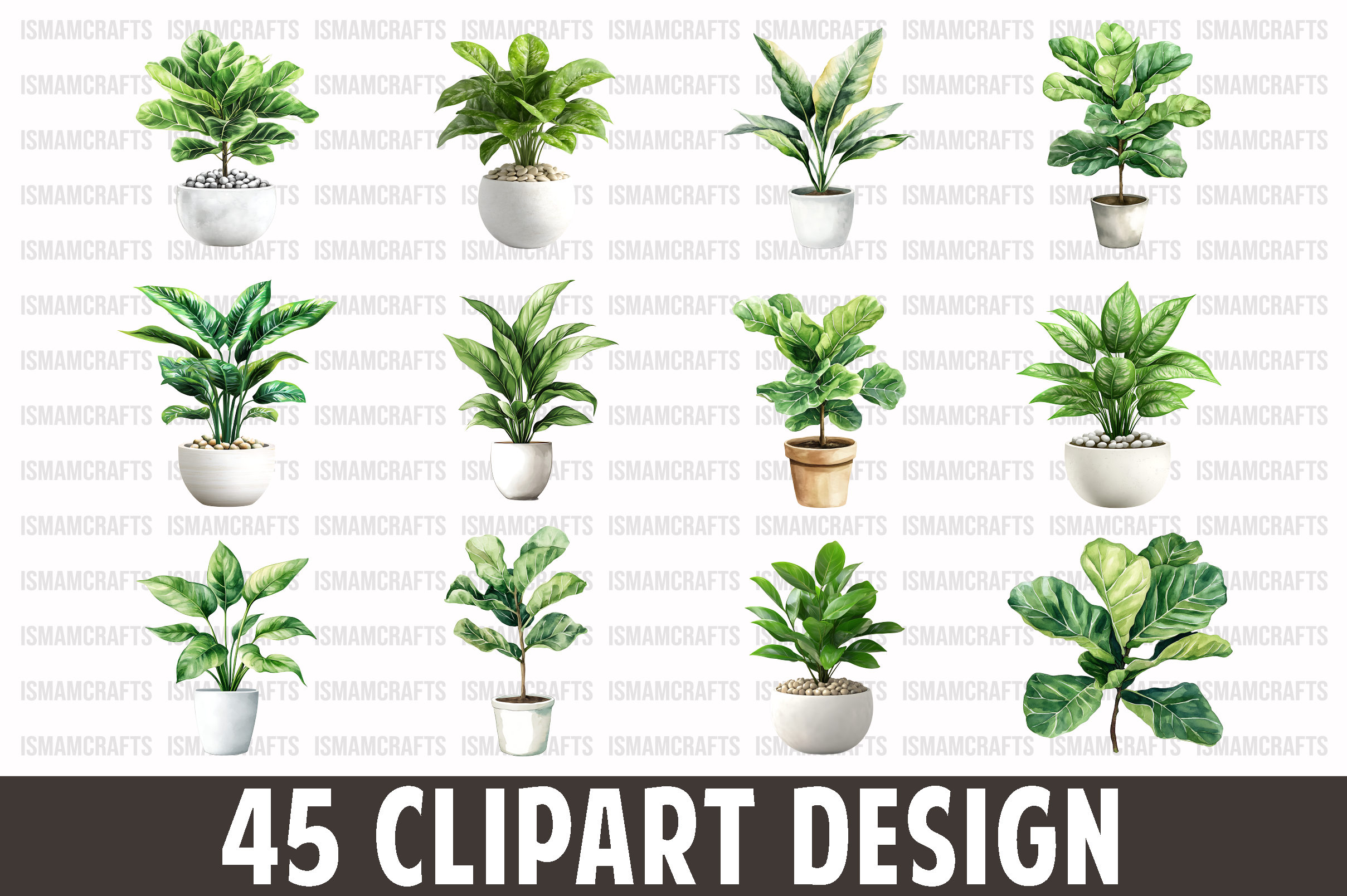 Fiddle Leaf Fig Clipart Bundle PNG Graphic by IsmamCrafts · Creative ...