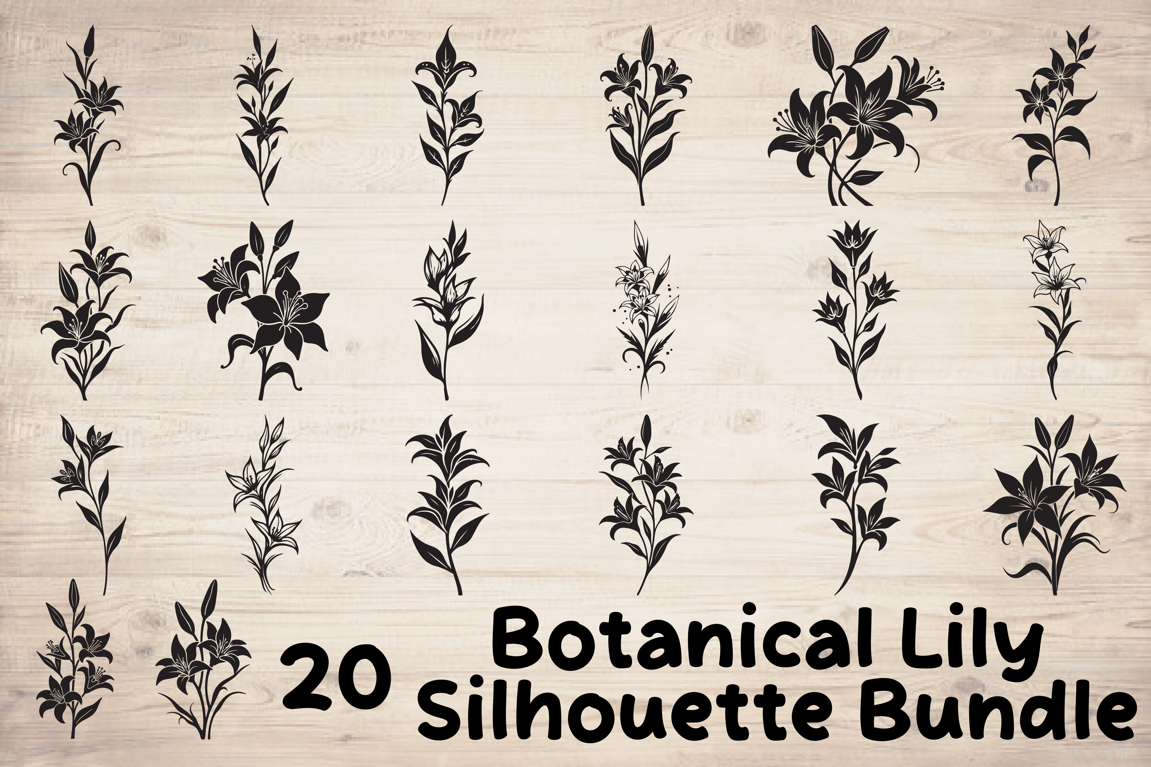 Botanical Lily Silhouette SVG Bundle Graphic by Pro_designs · Creative ...