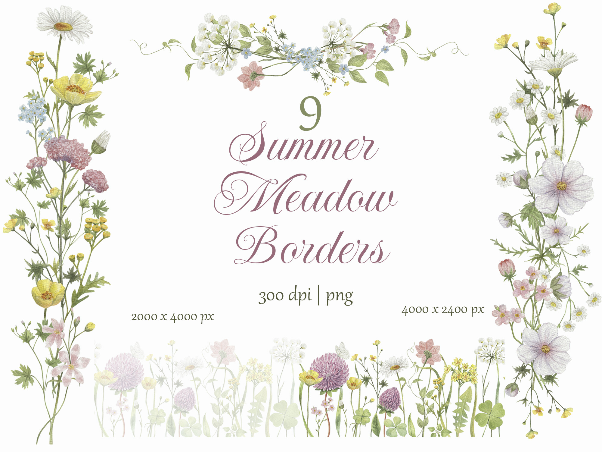 Summer Meadow Borders Watercolor Set Graphic by Noor_illustration ...