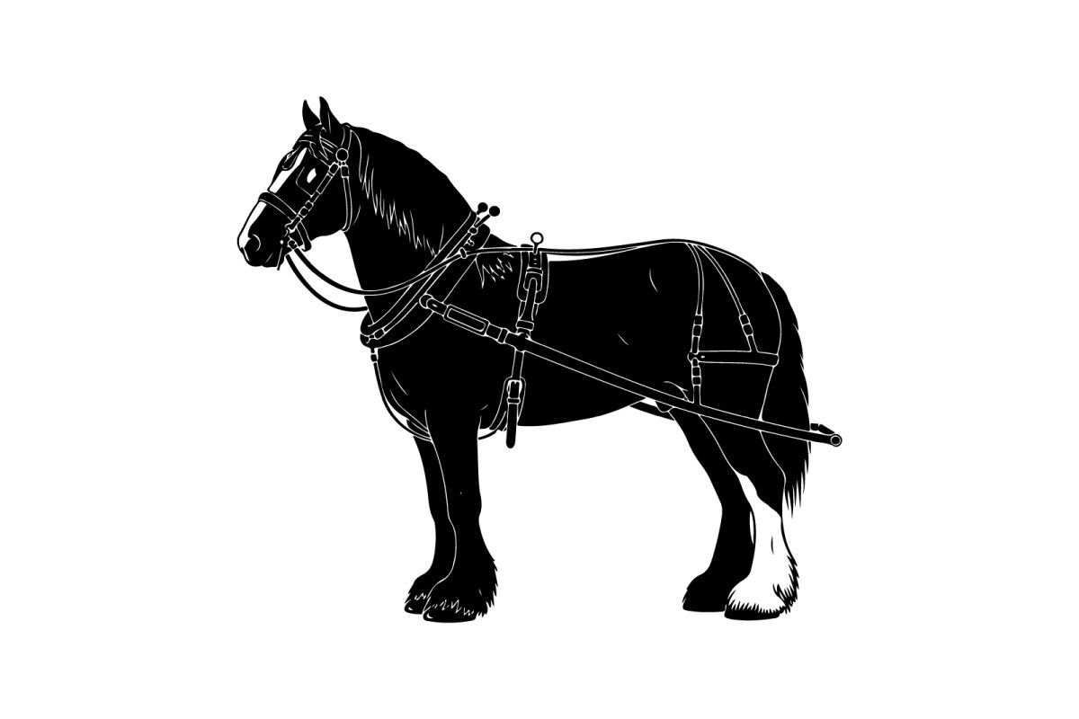 Black Horse in Harness Line Art Illustra Graphic by sctchcreations ...
