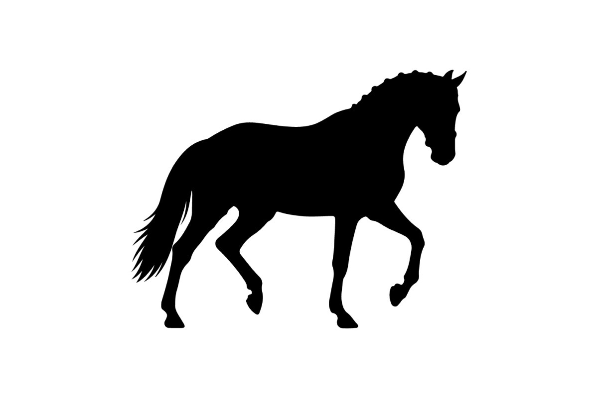 Black Horse Silhouette Running in Profil Graphic by sctchcreations ...