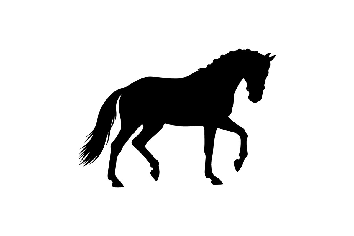 Black Horse Silhouette Running in Profil Graphic by sctchcreations ...