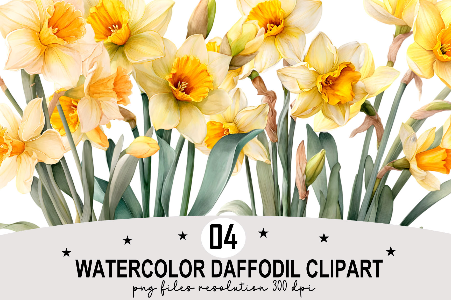 Watercolor Daffodil Clipart Graphic by Design December · Creative Fabrica