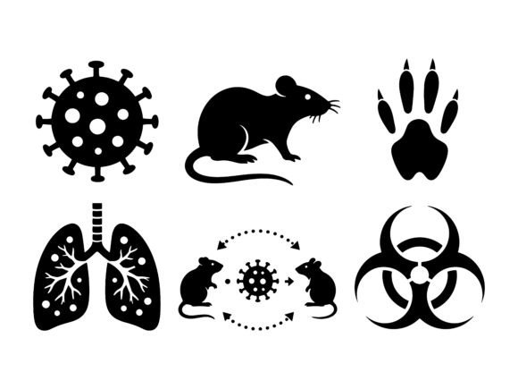 1 Hantavirus Icon Designs & Graphics