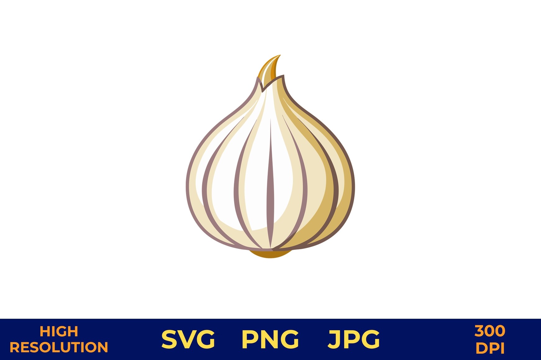 Single Garlic Bulb Vector Art on White Graphic by designcrafts ...