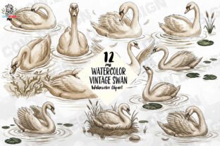 Watercolor Vintage Swan PNG Graphic by COW.design · Creative Fabrica