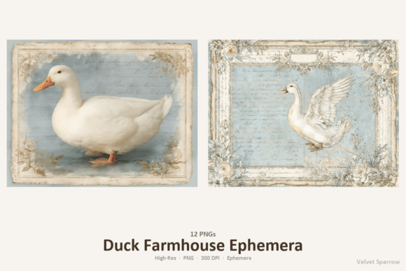 Duck Farmhouse Ephemera Graphic by Velvet.Sparrow · Creative Fabrica