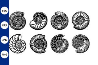 Ammonite Shell Vector Art Bundle Graphic by Cute Things · Creative Fabrica