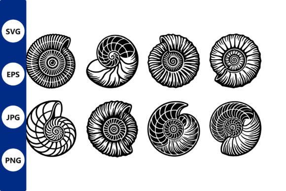Ammonite Shell Vector Art Bundle Graphic by Cute Things · Creative Fabrica