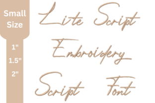 Lite Script Embroidery Small Font · Creative Fabrica