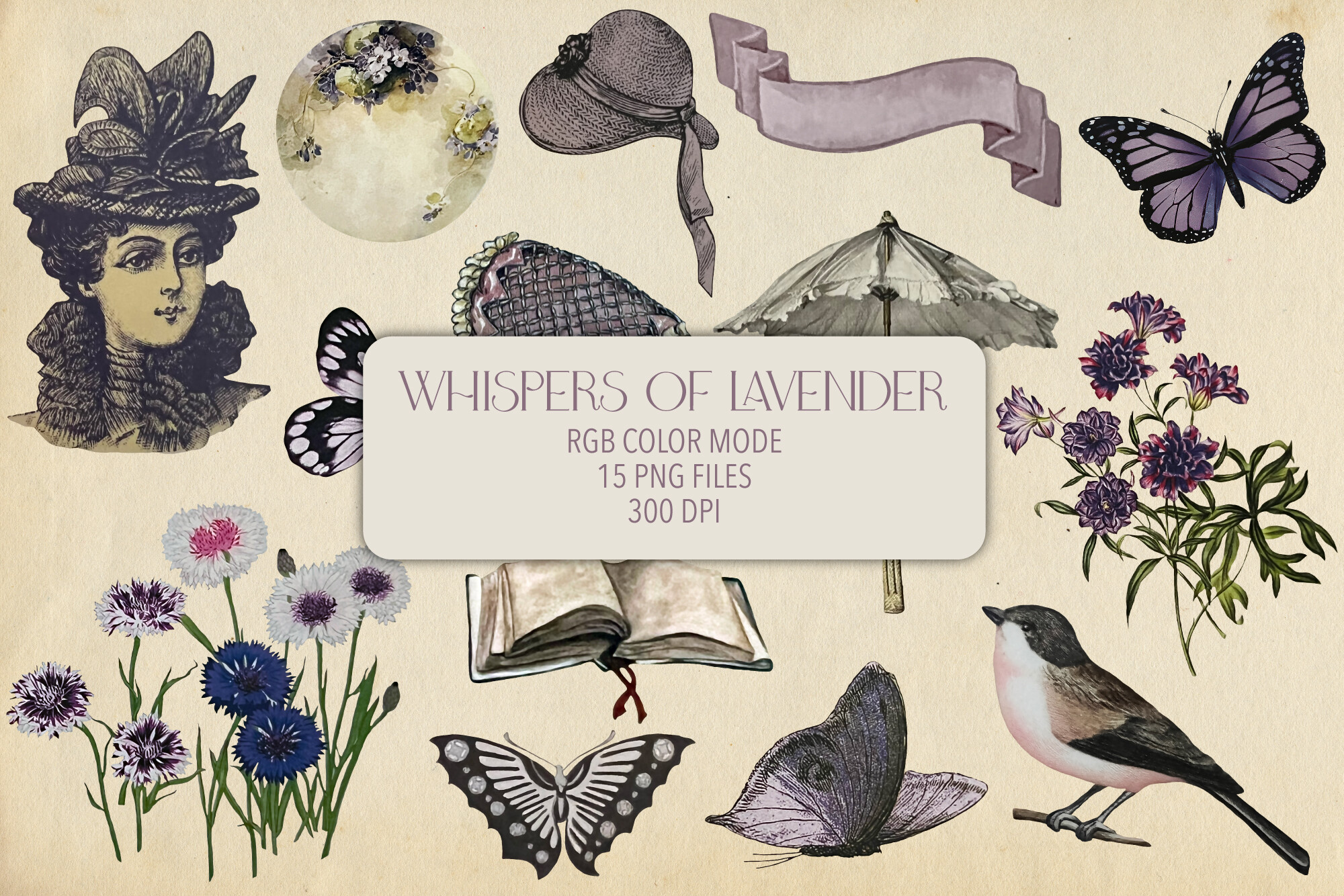 Whispers of Lavender Feminine Clip Art Graphic by Patterns for Dessert ...