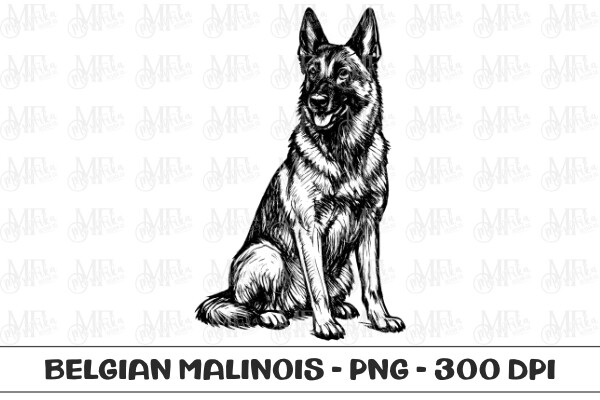 Belgian Malinois Dog Sketch PNG Graphic by MoxiFikaDesignCo · Creative ...