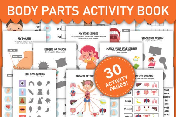 Body Parts Activity Book Graphic by Happy Time · Creative Fabrica