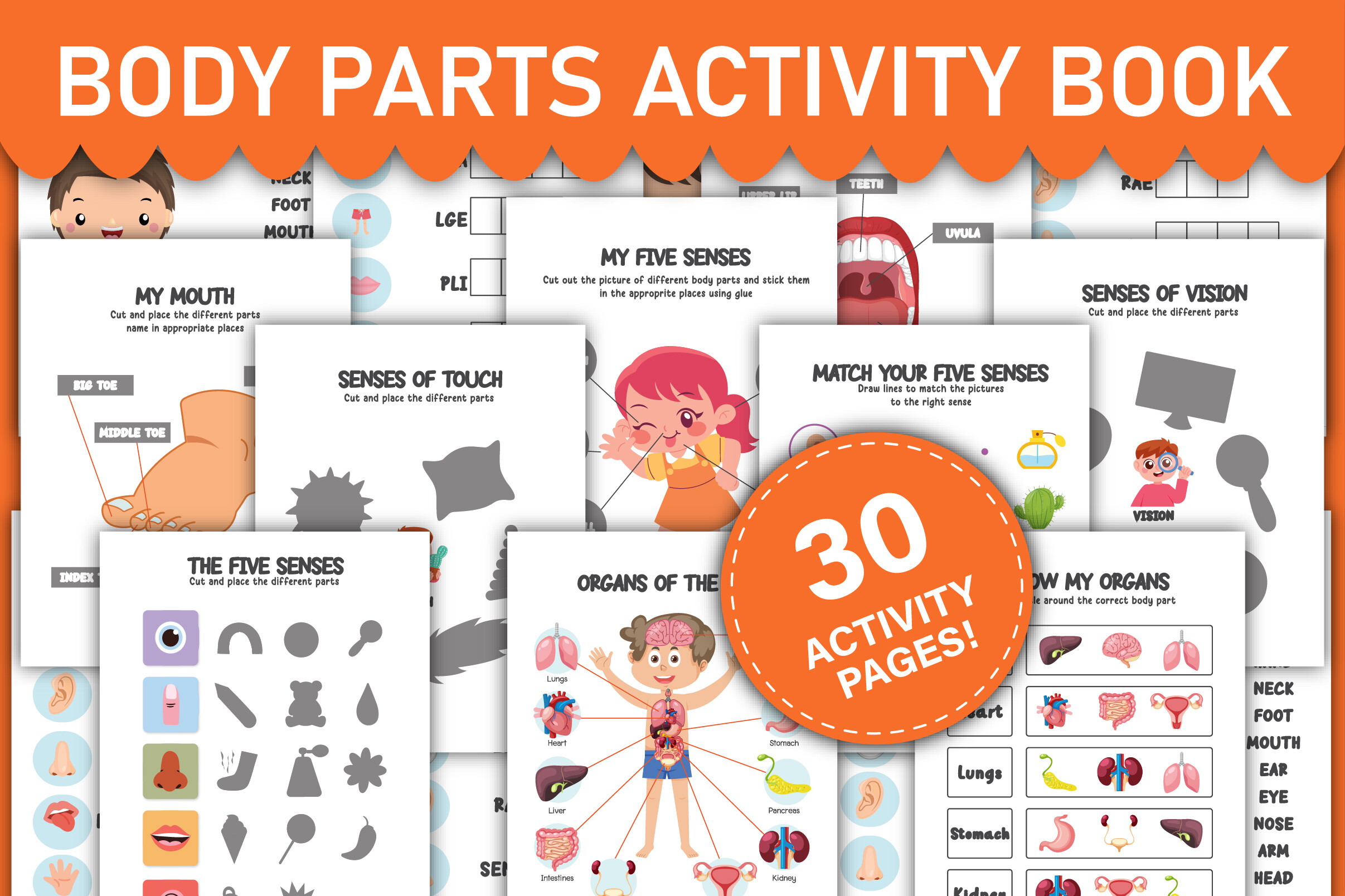 Body Parts Activity Book Graphic by Happy Time · Creative Fabrica